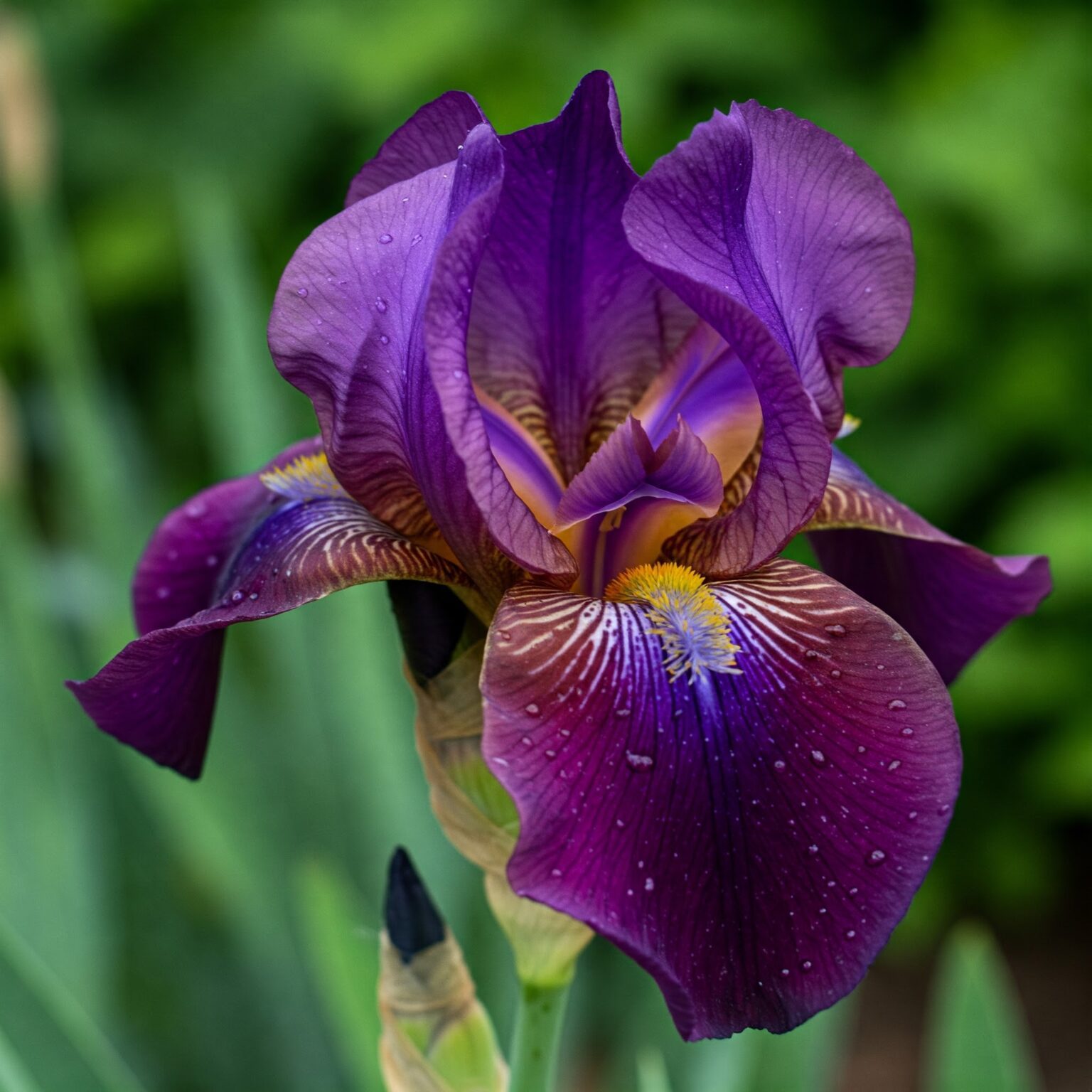 The Spiritual Meaning of Ethereal: A Journey Into the Divine and Transcendent - Wisdom Of The Spirit